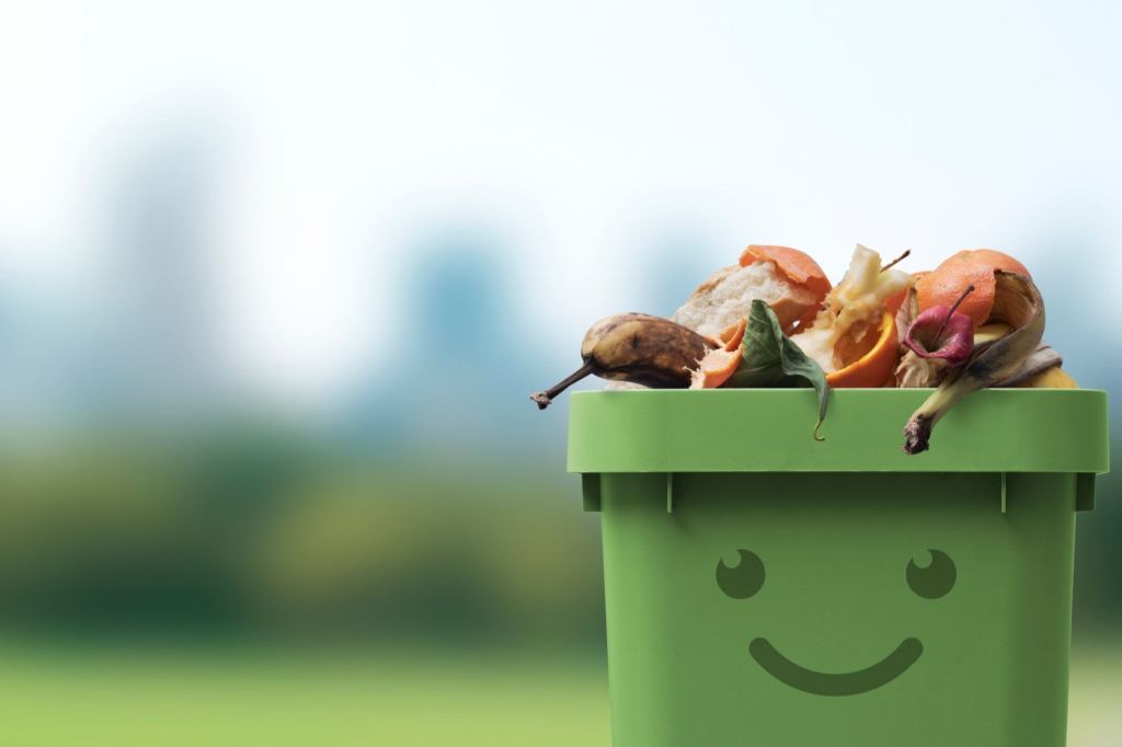 Rethinking Sustainability: The Real Environmental Cost of Food Waste ...
