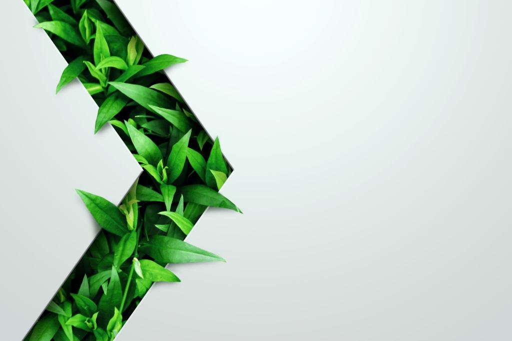 Thriving Under the Clean Power 2030 Action Plan